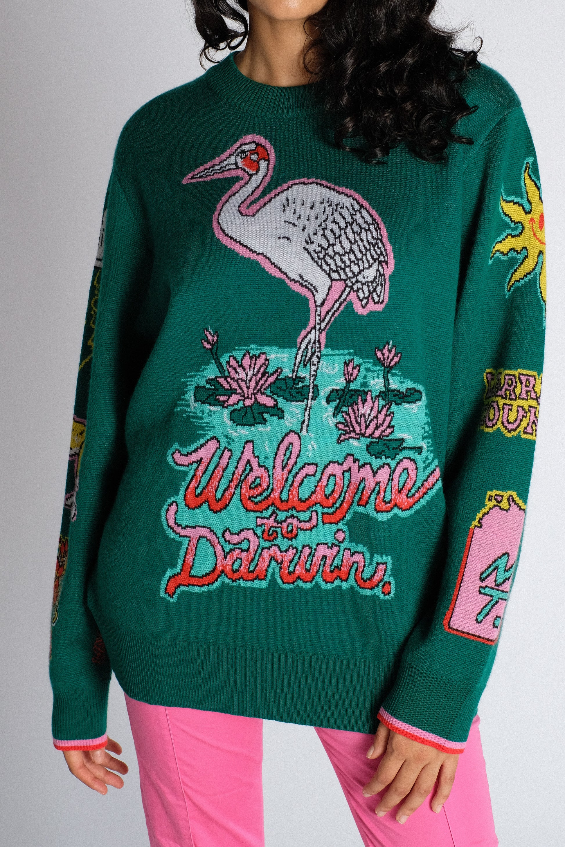 WAH WAH x HOD Jumper - "Welcome to Darwin" • House of Darwin