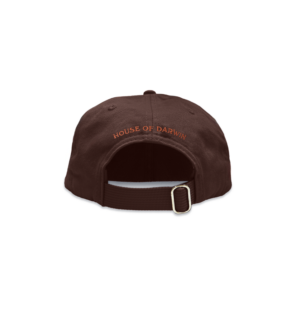 HATS + CAPS • House of Darwin